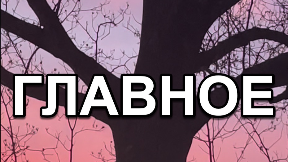 Шри Ауробиндо о Главном #shorts
