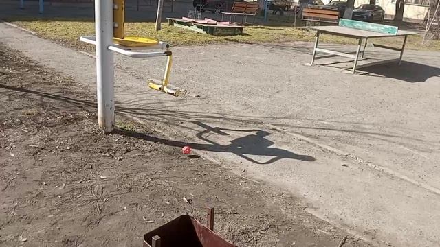 Битва лунболлов