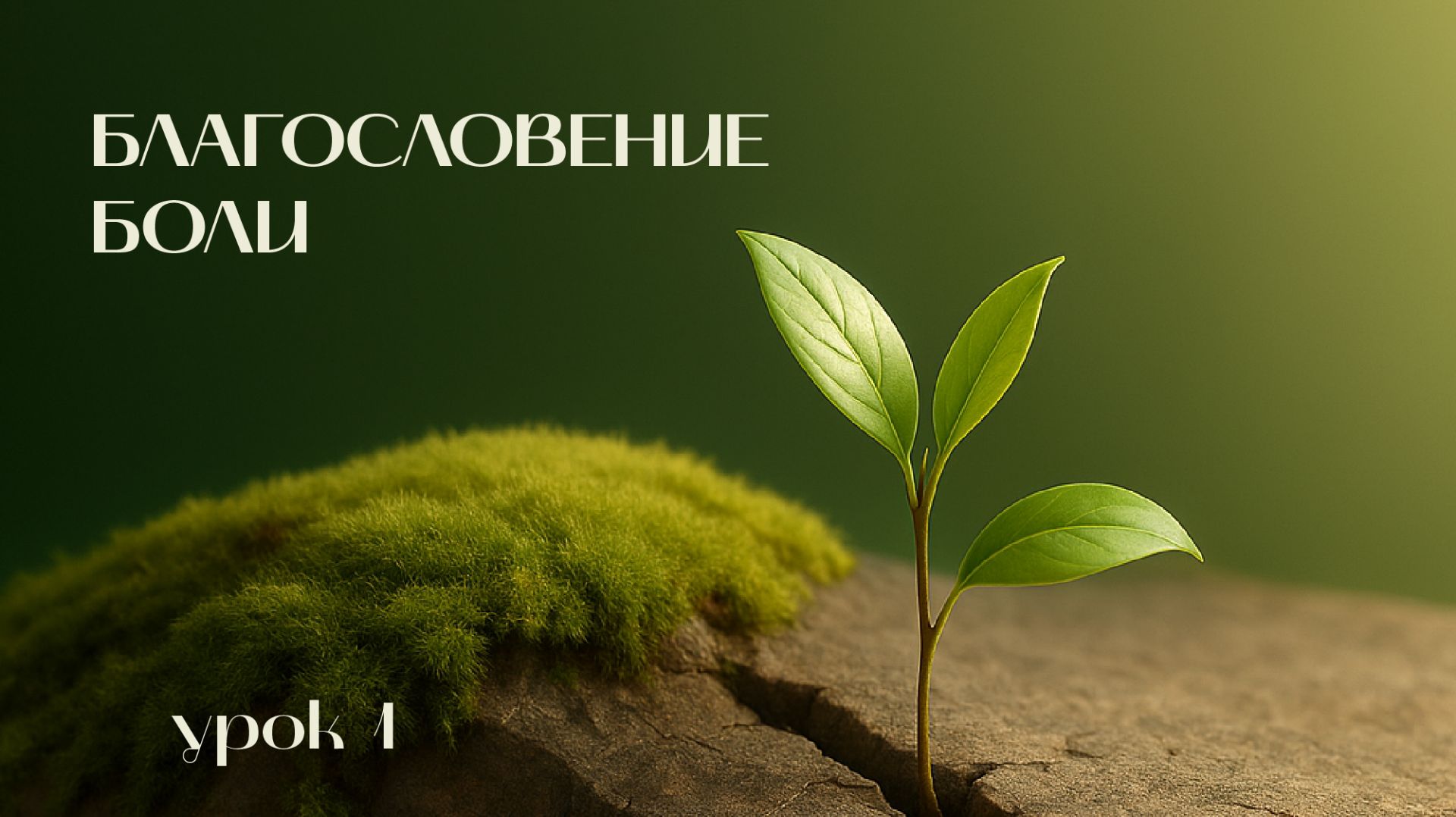 Древо жизни | Чтобы боль не была пережита напрасно