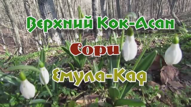 Верхний Кок-Асан... Сори... Емула-Кая... 14.03.2026