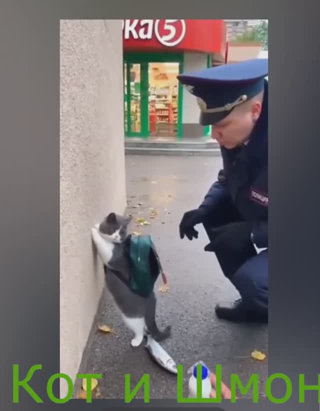 Животные прославившиеся в дуэте