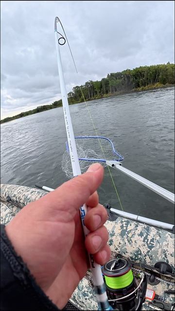 Саранный кижуч. Не берём