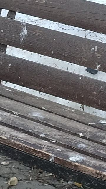 №1959 Комсомольский проспект. 29 марта 2026 г., 18:04:01 VID_20260329_180328544