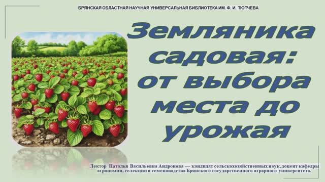 Лекция «Земляника садовая: от выбора места до урожая»