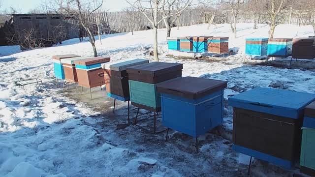 Пчеловодный сезон начался. #пчеловодство