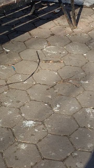 №1972 Комсомольский проспект. 30 марта 2026 г., 11:59:59 VID_20260330_115928379