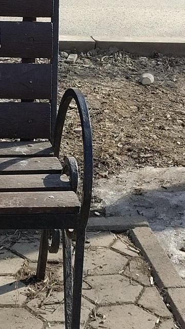 №1989 Комсомольский проспект. 31 марта 2026 г., 11:40:45 VID_20260331_113945689