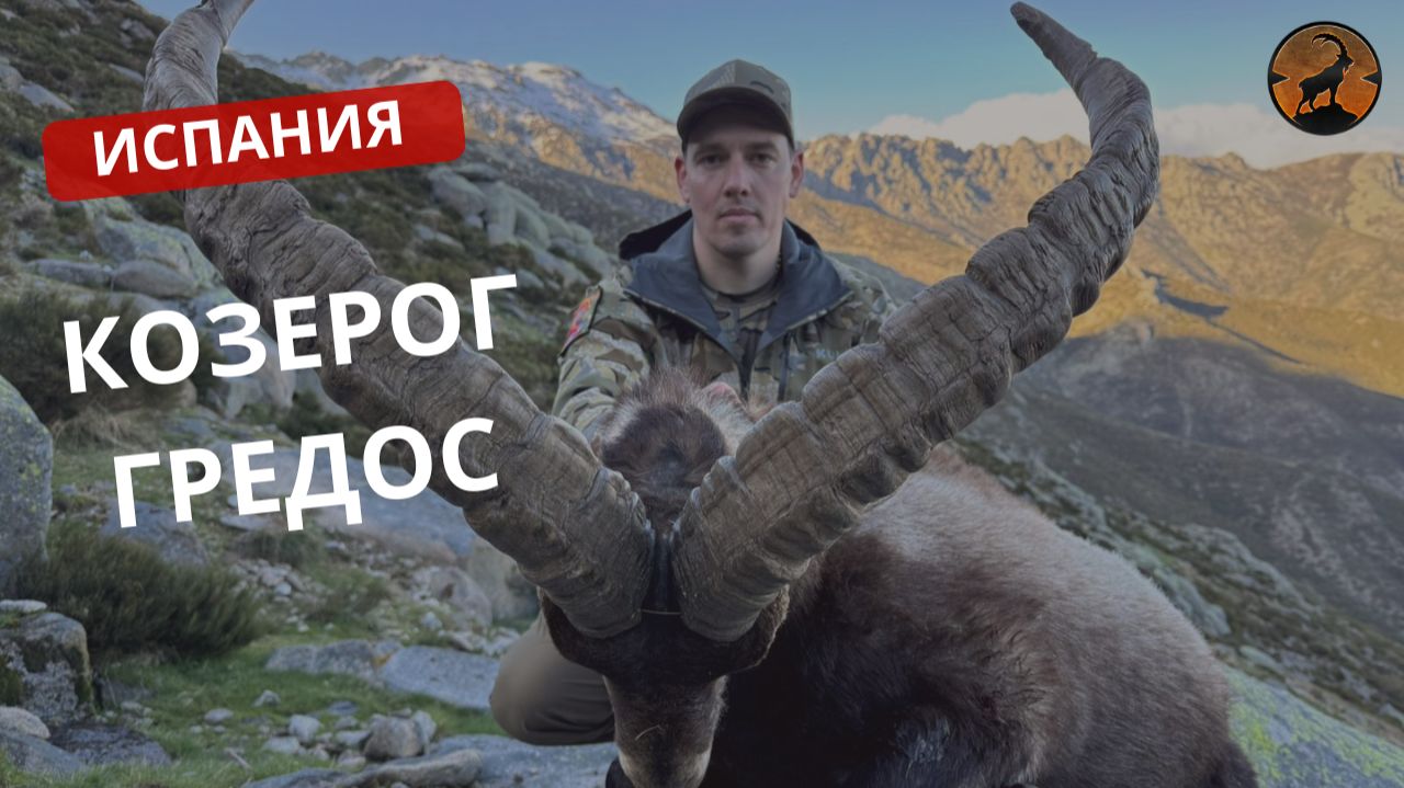 КОЗЕРОГ ГРЕДОС | ИСПАНИЯ | IBEX GREDOS | РЕАЛЬНАЯ ОХОТА