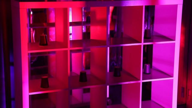 Мурманск - Кальмарчик - Детский день рождения