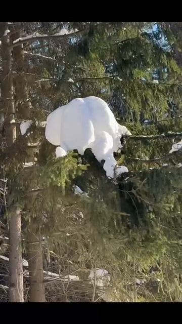 Зима не хочет  уходить 😁😊❄️