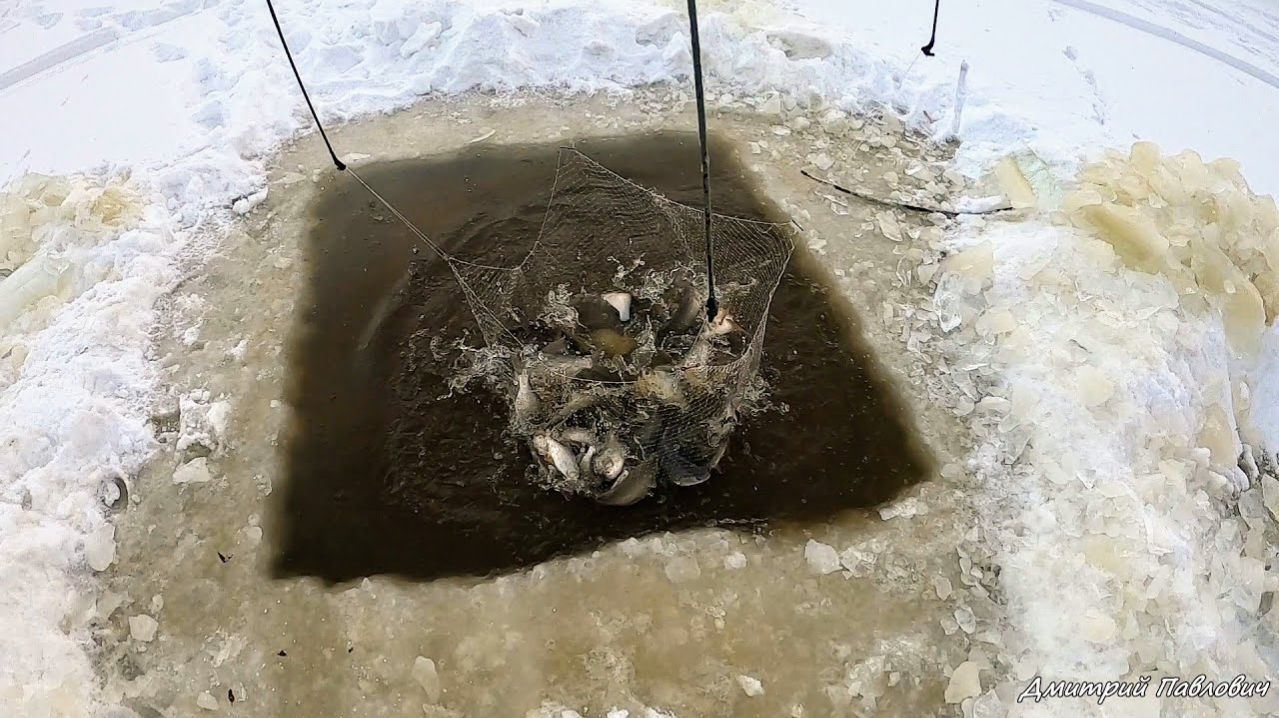 Рыбачу на Паук. Лучшая Зимняя Рыбалка 2026. Русская Рыбалка Онлайн. Жирный Улов. Смотреть на RUTUBE
