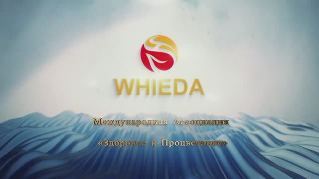 Фильм о компании