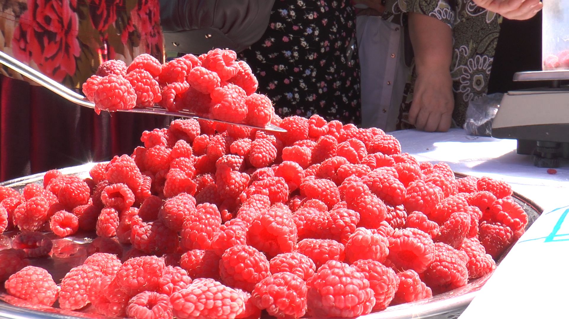 О королях, о кораблях и о малине.