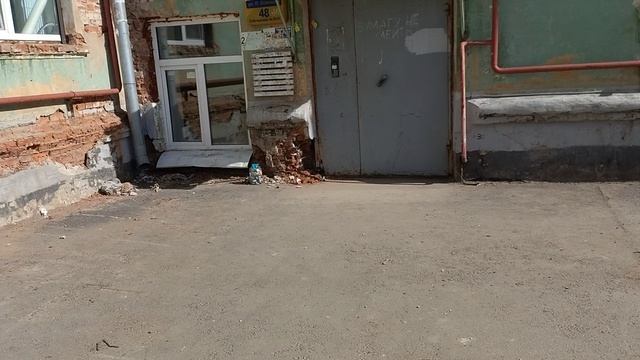 №1993 Двор П. Осипенко 48. 31 марта 2026 г., 12:13:28 VID_20260331_121257372