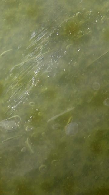 Удаление ржавчины или "химический пескоструй" от FunChrome