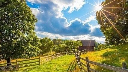 sarah - the illstrumentalist bahama breeze