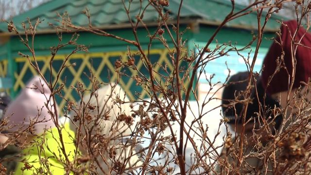 «Пушистик», вулкан и бабочки: юные экологи из детского сада  «Бэлэкэч» изучают природу