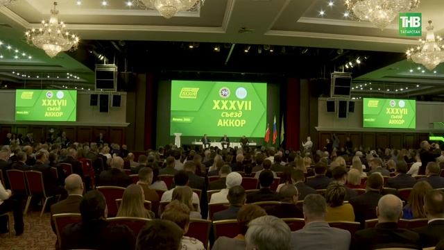 Фейки, дешёвое мясо и риск заражения: как не попасть в ловушку эпидемии | 7 дней