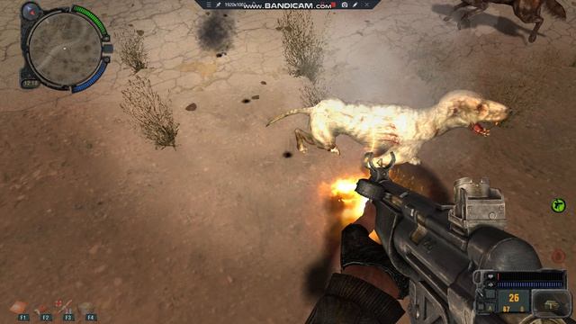 Непредвиденная ситуация в STALKER Зов Припяти