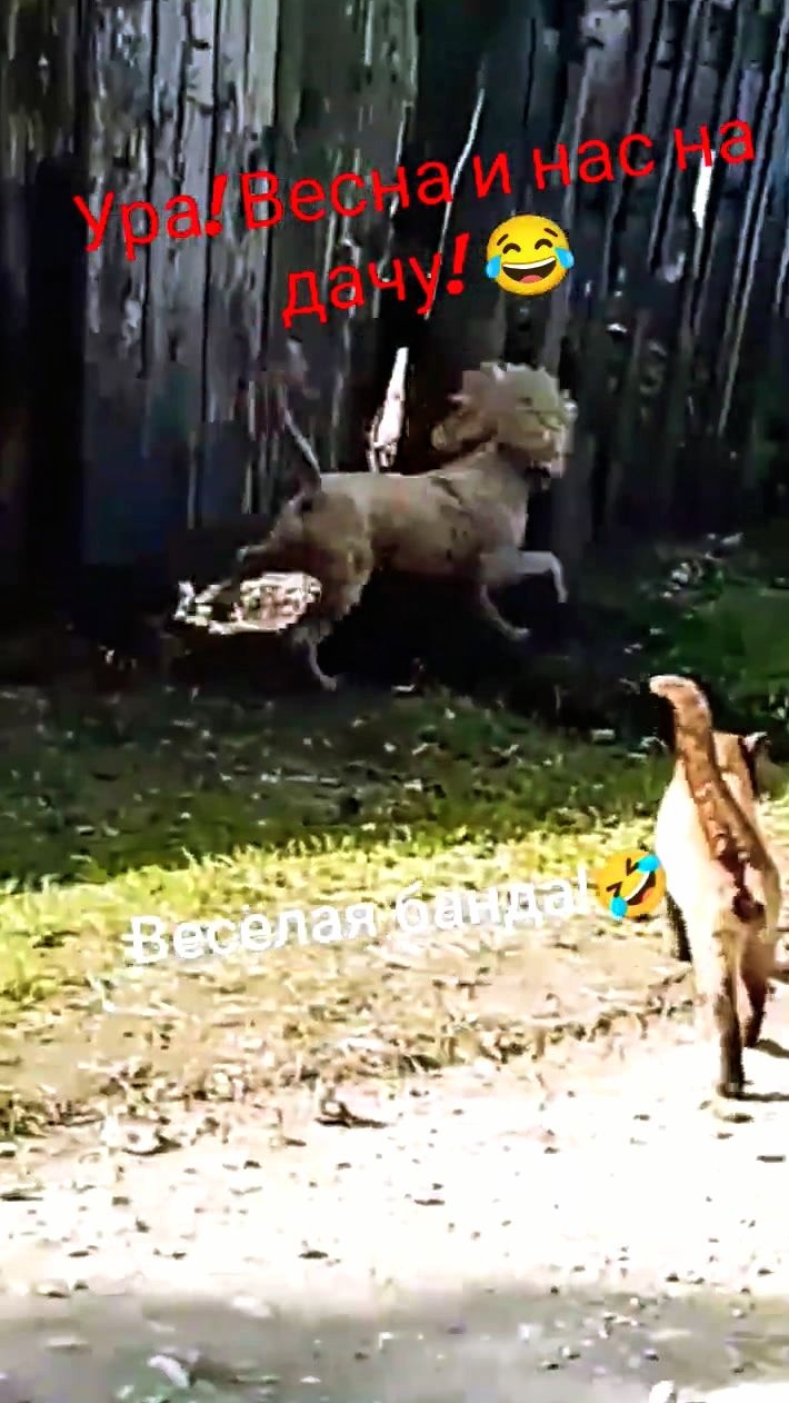 Квартирная банда! 🤣 Ура, АПРЕЛЬ! 🥰  01-04-2026