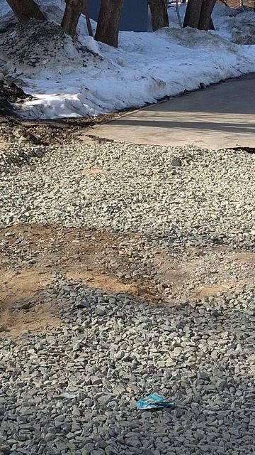 №1983 ул. Полины Осипенко. 31 марта 2026 г., 11:21:43 VID_20260331_112106109