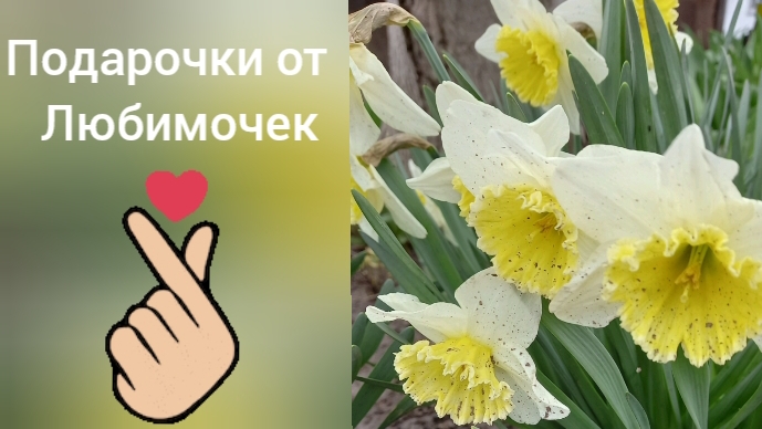 31-03-2026 Подарки от моих любимочек