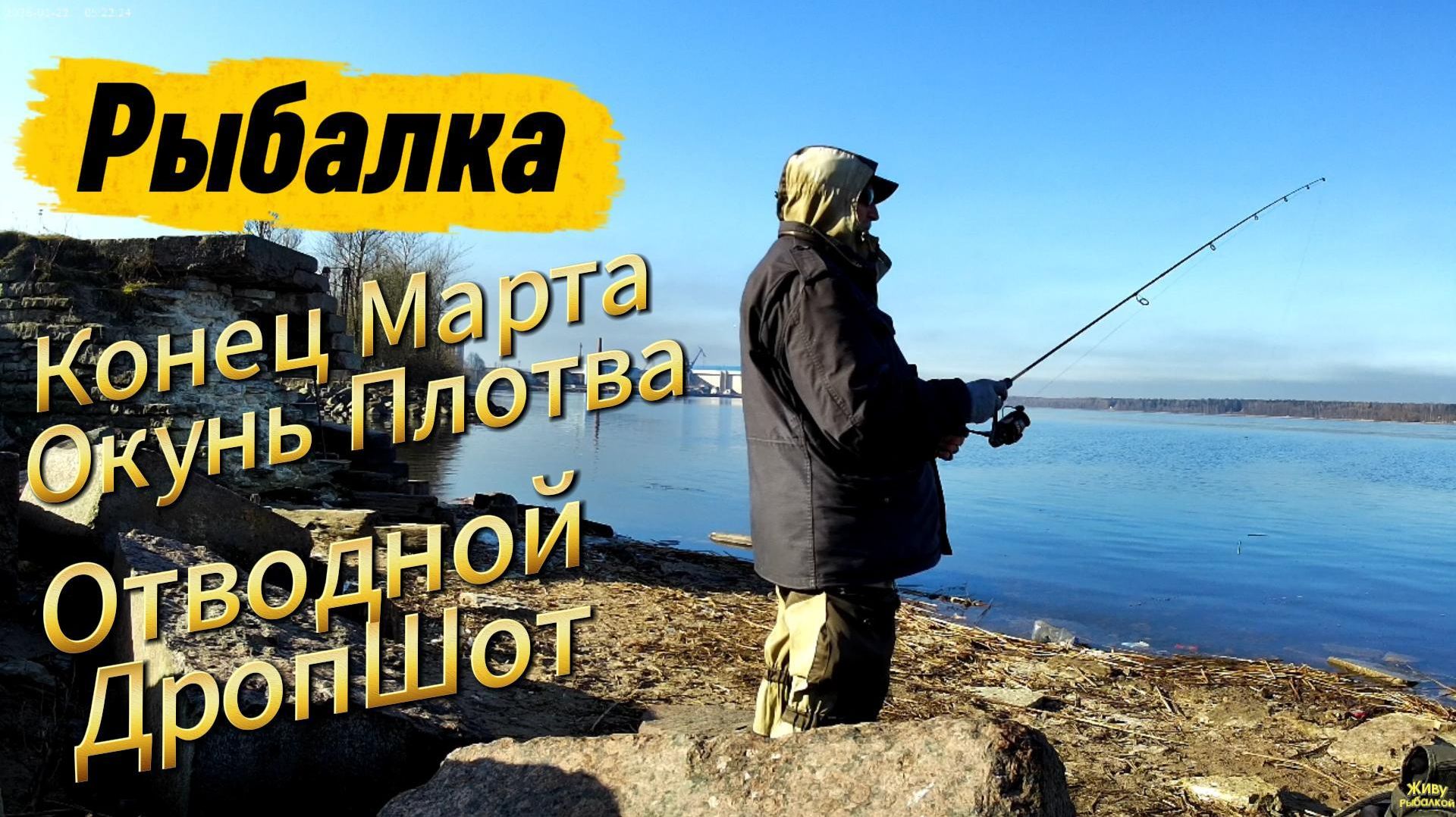 КОНЕЦ МАРТА ОКУНЬ ПЛОТВА РЫБАЛКА ЗА ГОРОДОМ  КЛЕВ БЫЛ СЛАБЫЙ  ХИЩНИКА  БЕЛОЙ РЫБЫ ВОДА ЕЩЁ ХОЛОДНАЯ