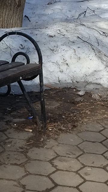 №1986 Комсомольский проспект. 31 марта 2026 г., 11:37:08 VID_20260331_113633954