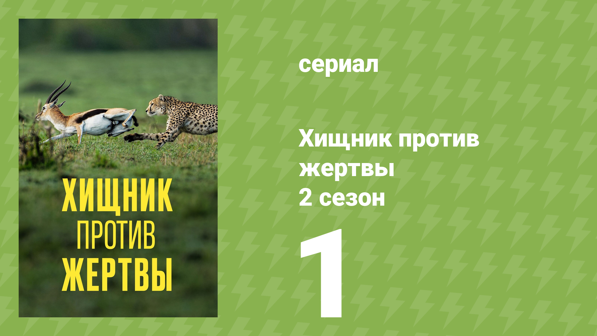 Хищник против жертвы 2 сезон 1 серия (документальный сериал, 2025)