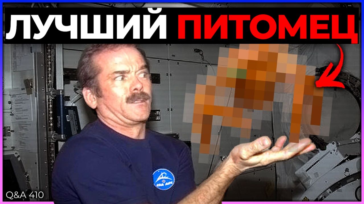 Лучший космический питомец, последствия пролета 3I/ATLAS, ограничения точек Лагранжа | Q&A 410