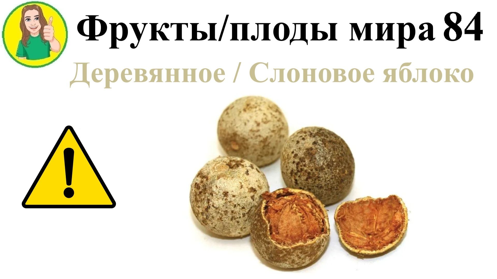Фрукты – плоды мира 84 – Деревянное или слоновое яблоко Сыроедение Фрукторианство