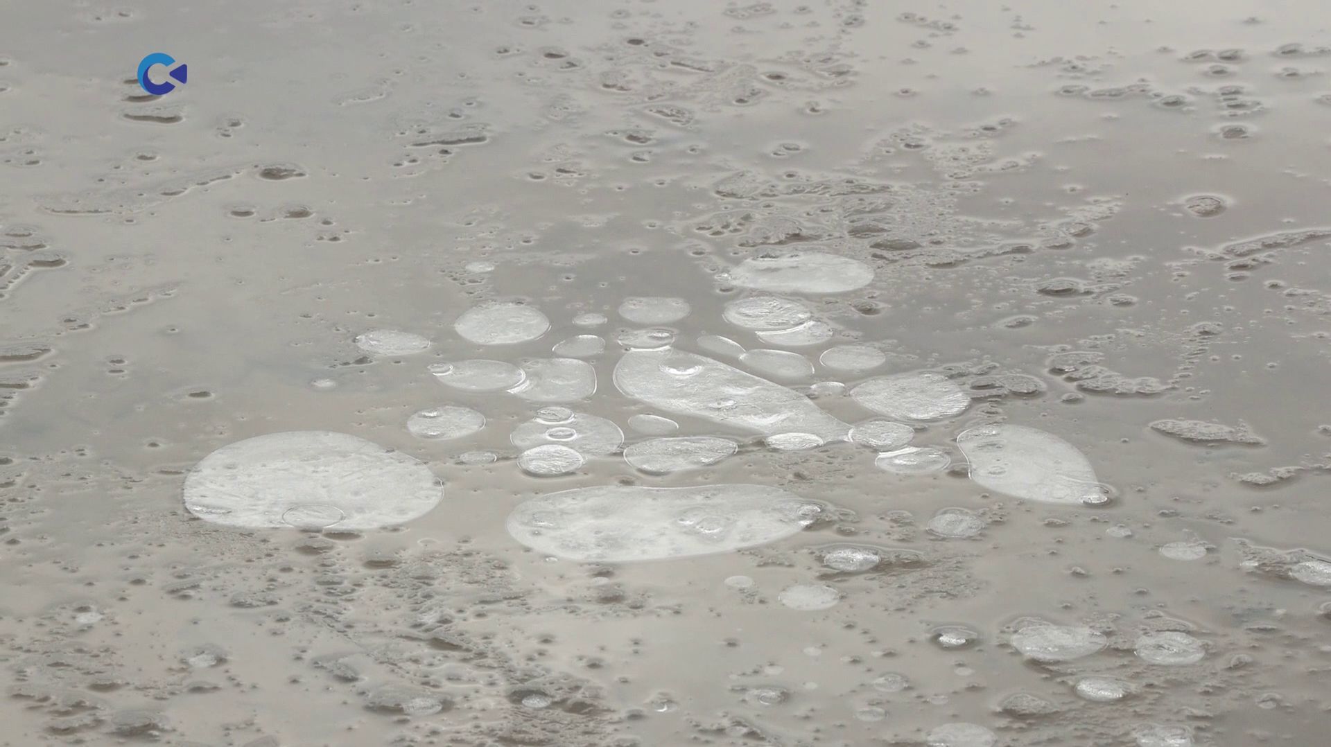 С начала года на водоёмах Карелии погибли 10 человек