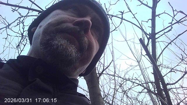 Исполняю послушание - по маминой просьбе переношу саженцы