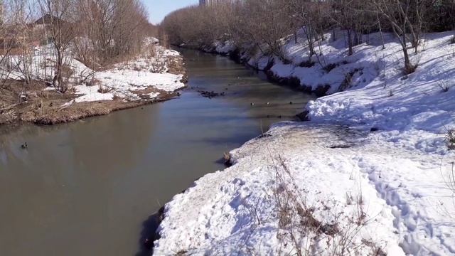 Река Тула в городе.
