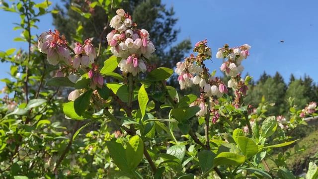 Юрий Шарец о планах на новый сезон