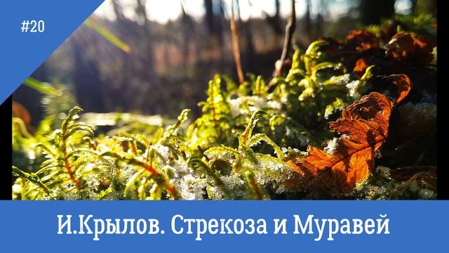 И. Крылов. Стрекоза и Муравей. Басня