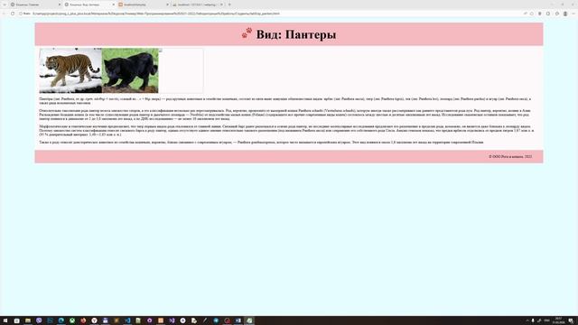 Лабораторная работа 10