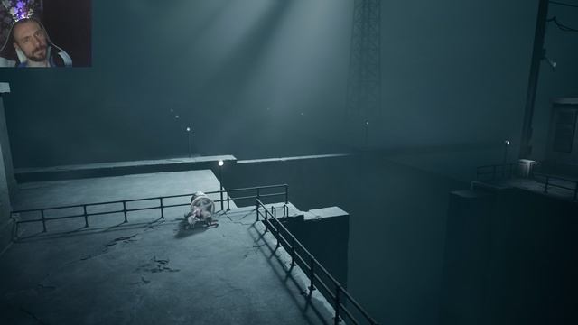 REANIMAL №02 - Не всегда понятный движ