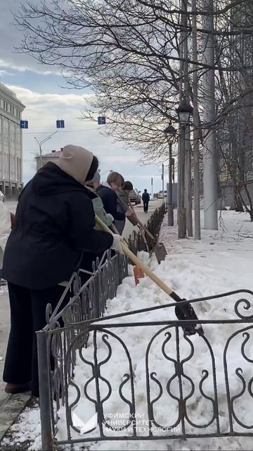 Все на субботник!