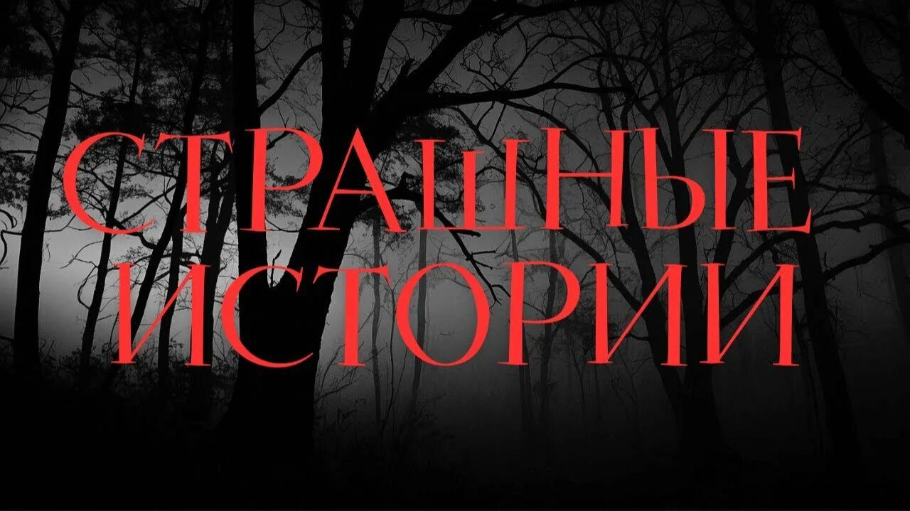 СБОРНИК ИНТЕРЕСНЫХ ИСТОРИЙ . Четыре крутых  рассказа на ночь