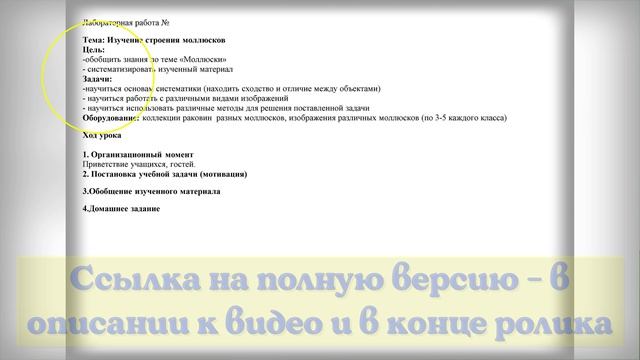 Многообразие моллюсков. Лабораторная работа