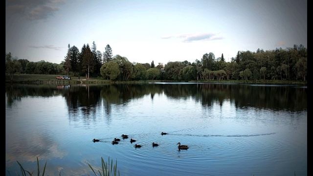 Гимн любви. Новый Завет