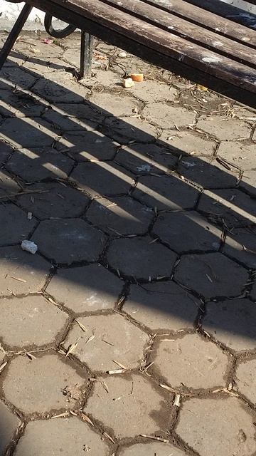 №1971 Комсомольский проспект. 30 марта 2026 г., 11:59:05 VID_20260330_115831944