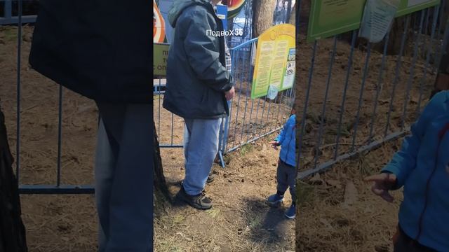 31.03-2026 Велопрогулка по Дельфину, гуляем, Воронеж.