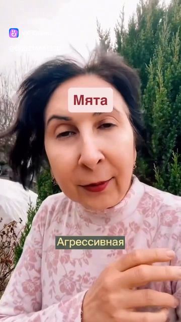 Самые плохие соседи для роз