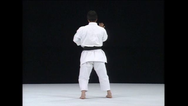 Сейсан Вид сзади