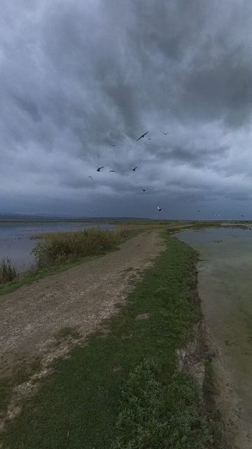 По дороге с облаками