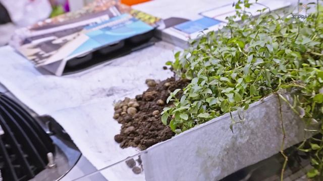 90% того, что показывают на таких выставках — вам не нужно