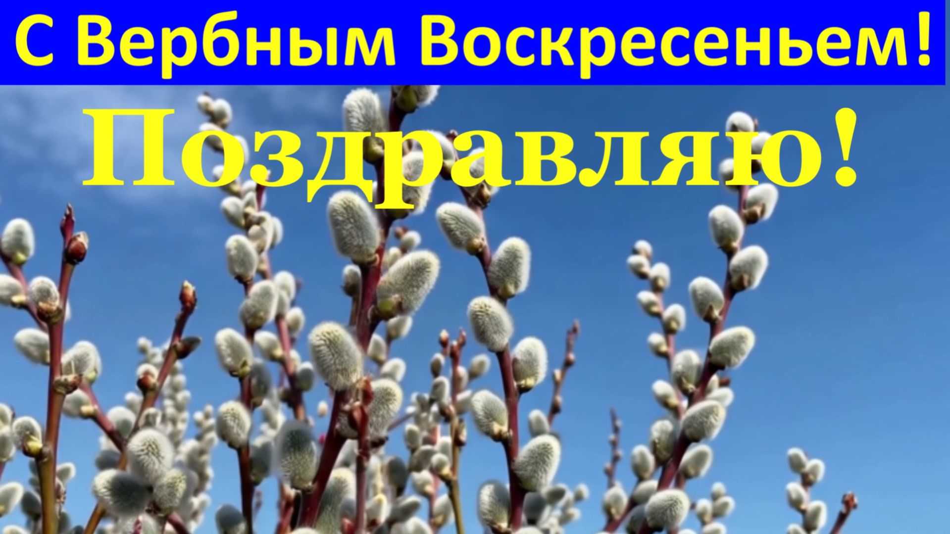 Пусть исполнится всё с Вербным Воскресеньем! Поздравление!