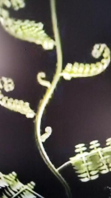 о прошлой жизни. стихотворение